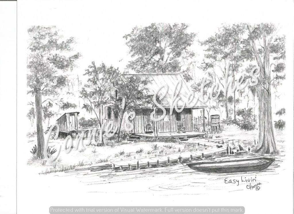 Bayou Scenes – Connie’s Sketches