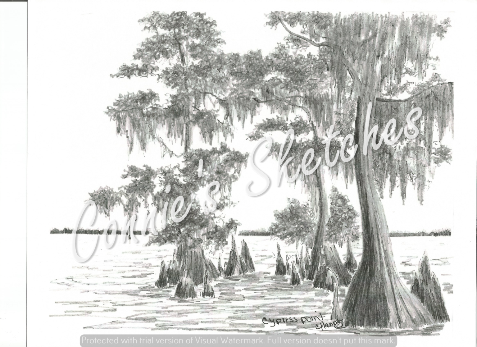 Bayou Scenes – Connie’s Sketches