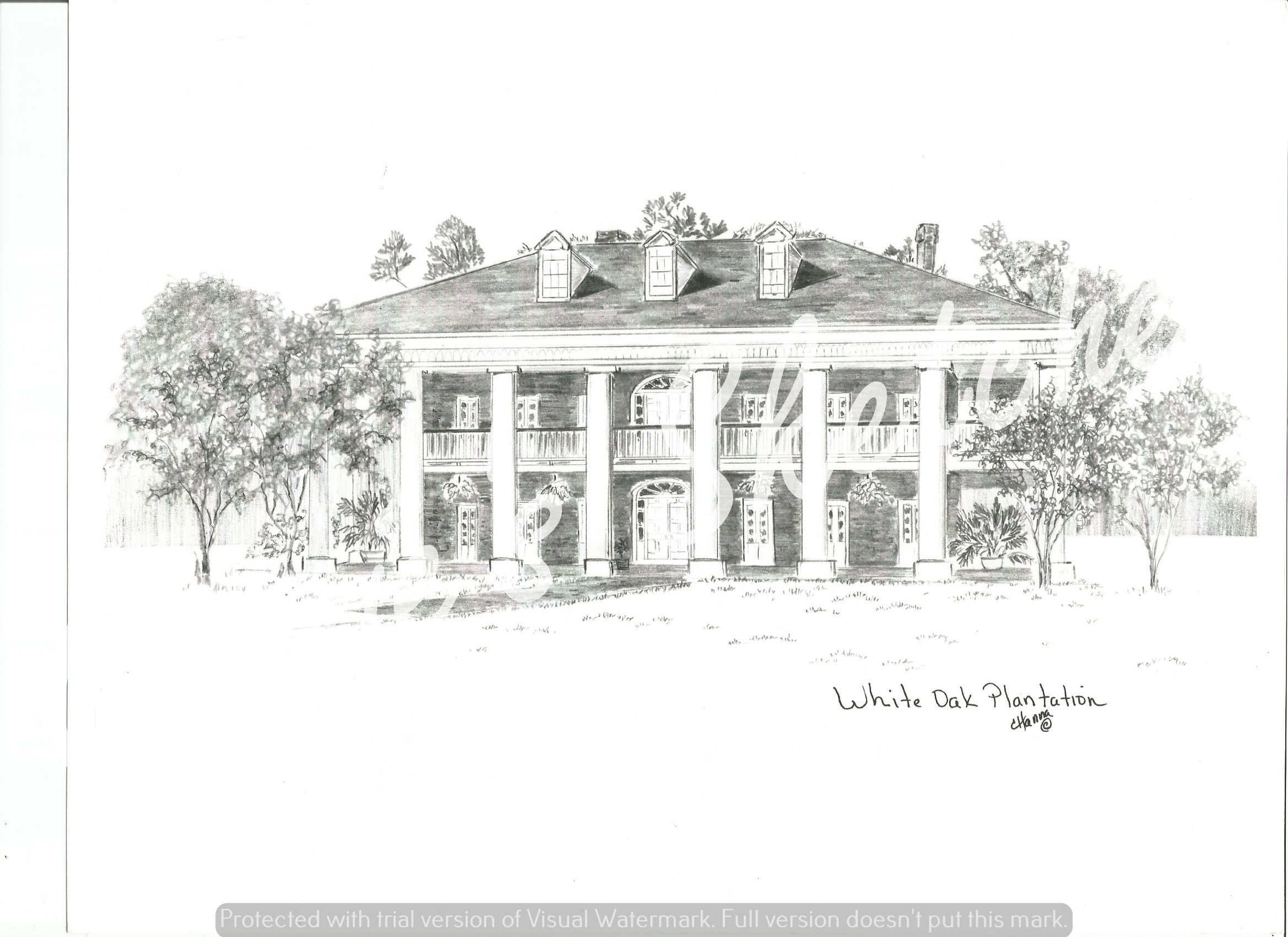 White Oak Plantation – Connie’s Sketches