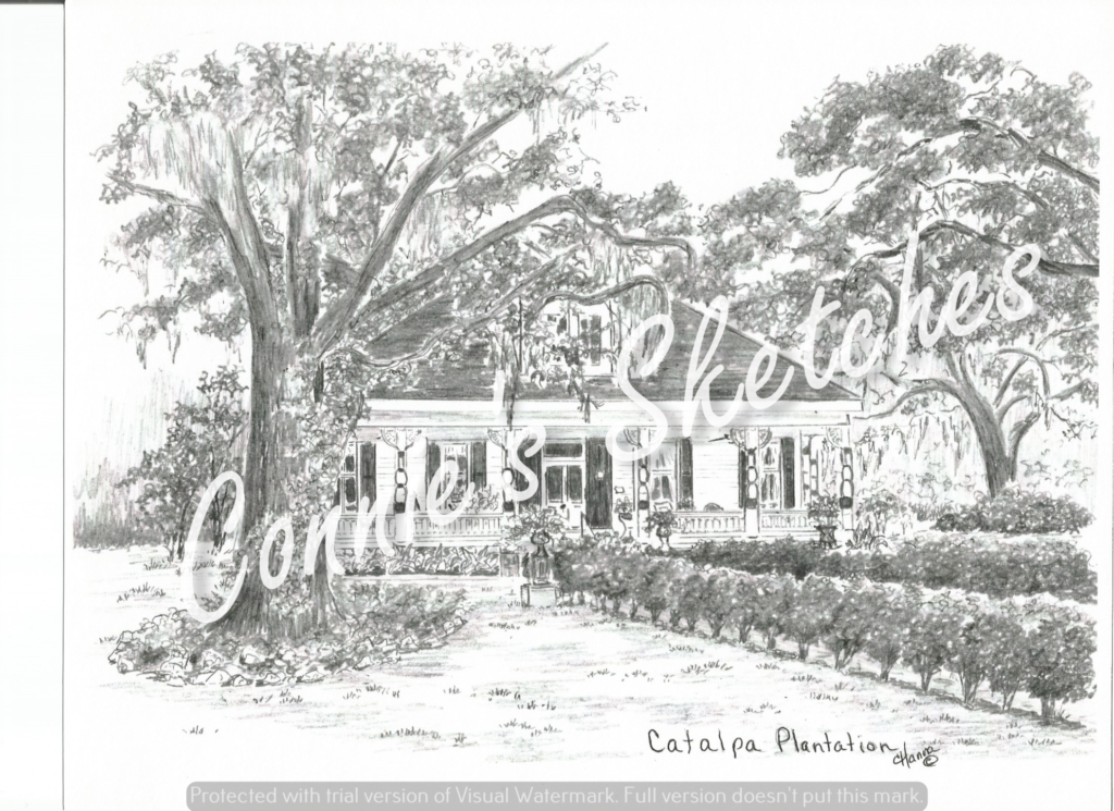 Catalpa Plantation, St.Francisville, LA – Connie’s Sketches