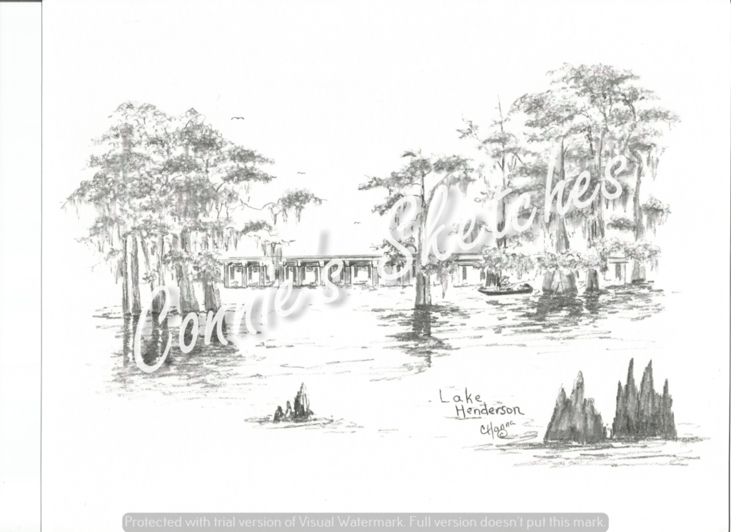 Bayou Scenes – Connie’s Sketches