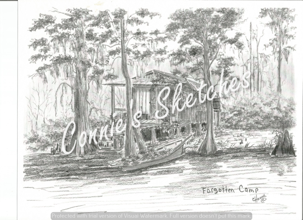 Bayou Scenes – Connie’s Sketches